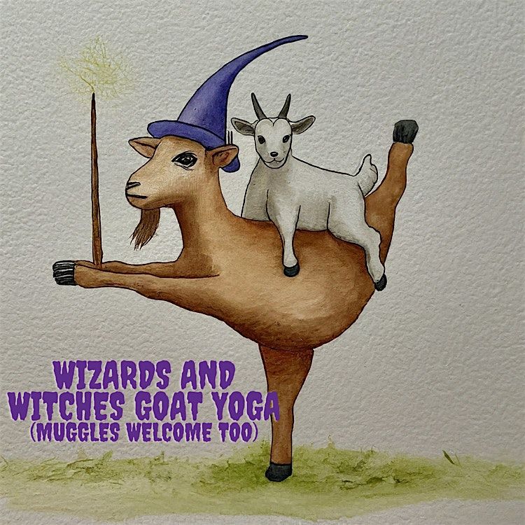 Wizards & Witches & Butterbeer Goat Yoga, The Hayloft, Hastings, 27 ...