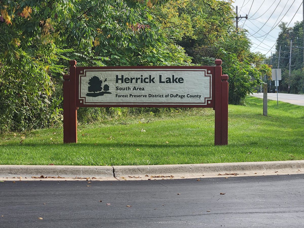Forest Therapy Walk at Herrick Lake, Herrick Lake Forest Preserve West ...