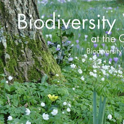 Biodiversity Week: Biodiversity Walk & Talk, National Botanic Gardens ...