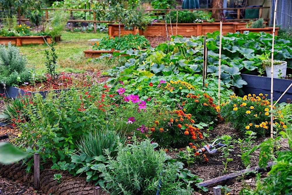 TAFE - Introduction to horticulture and eco living course ...