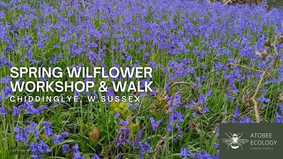 Spring Wildflower Workshop & Walk, Chiddinglye, East Grinstead, 20 ...