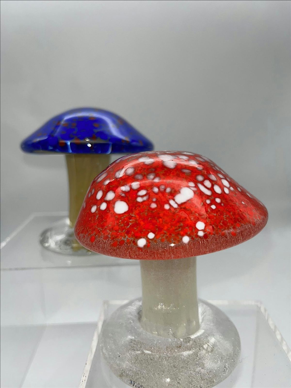 Holy Fungus!!...made out of Hot Glass!! Create your own magic mushroom ...