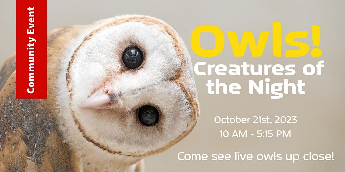 Owls: Creatures of the night, Artisan's Asylum, Boston, 21 October 2023 ...