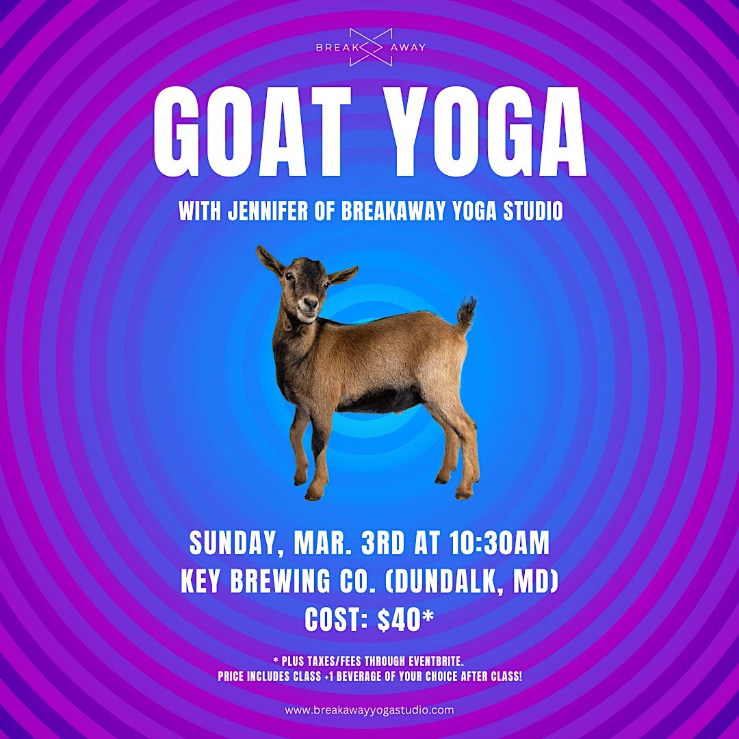 Goat Yoga at Key Brewing Co., Key Brewing Co., Dundalk, 3 March 2024 ...