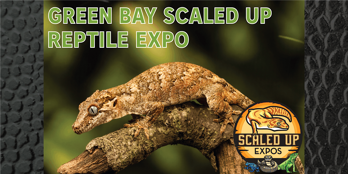 Green Bay Scaled Up Reptile Expo 08-11-2024, Radisson Hotel ...