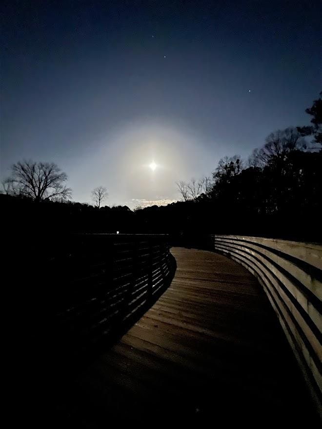 Full Moon Night Walk at Mason Mill Park, Mason Mill Park - South ...