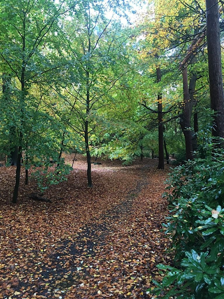 Peace in the Park - Spring Forest Bathing, Coombe Woods and Gardens ...