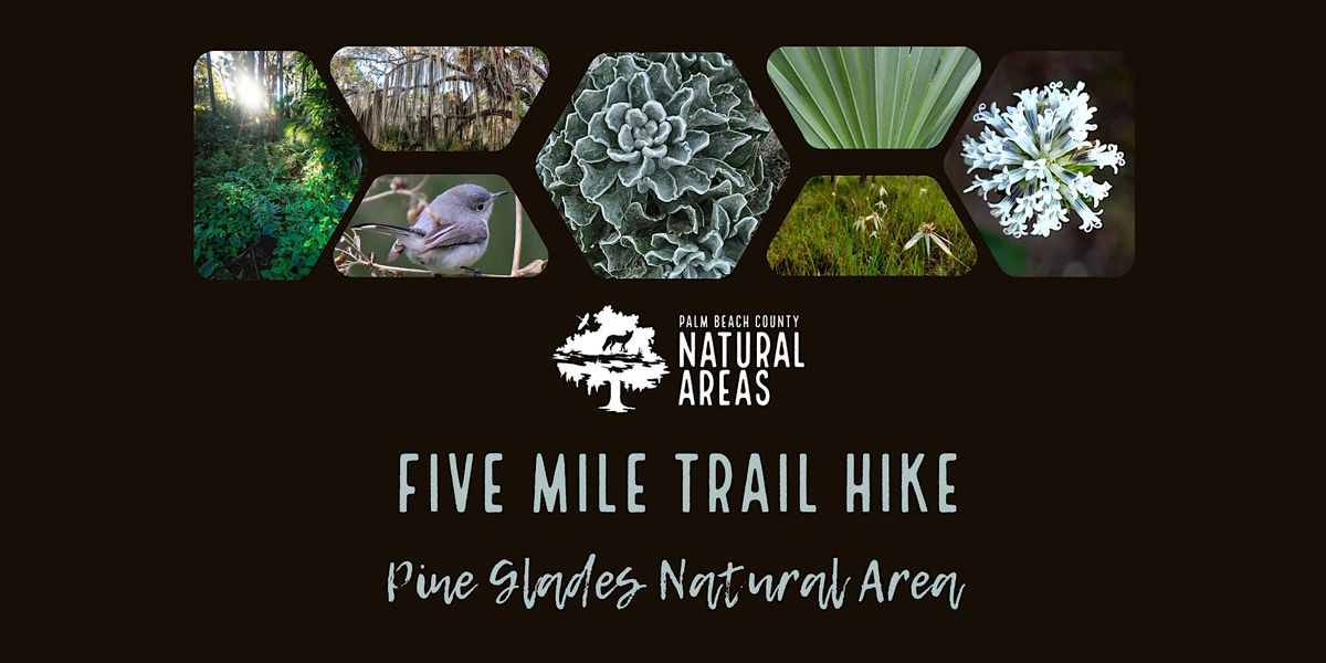 Adventure Awaits - Five Mile Trail Hike at Pine Glades Natural Area ...