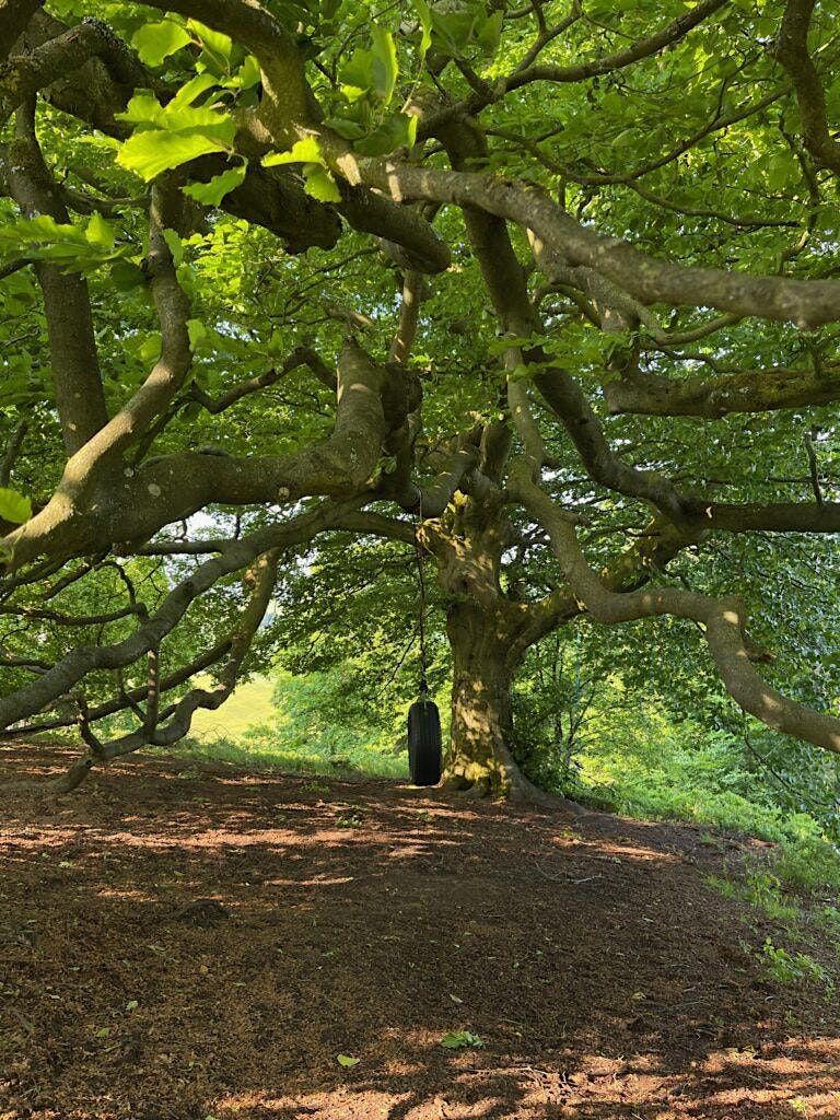 Forest School Family Fun - Summer Holidays 2023, Harwes Farm CIC, Colne ...