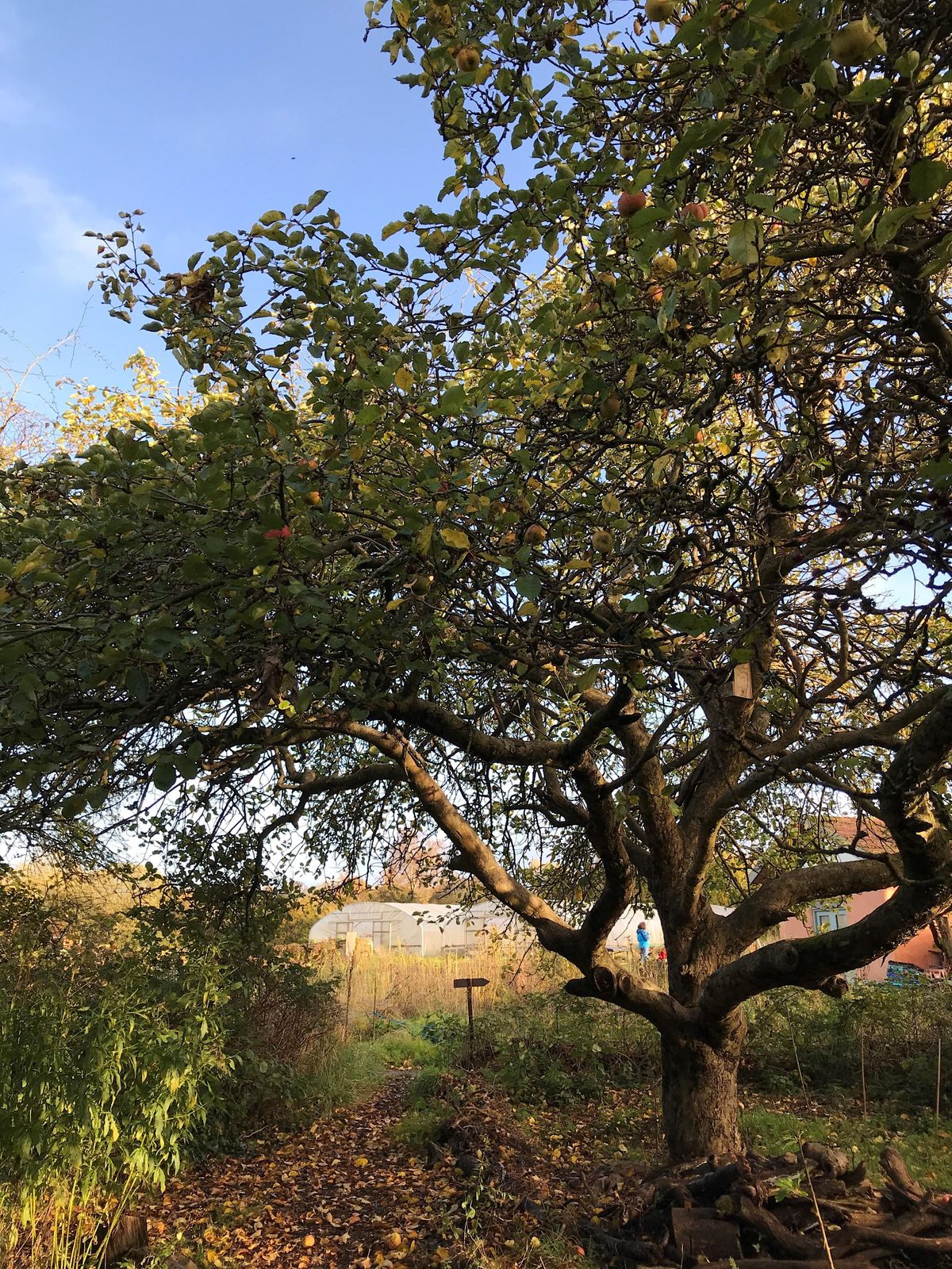 Nature in Statutory Practice and Allies SIG meet up, Folk House Cafe ...