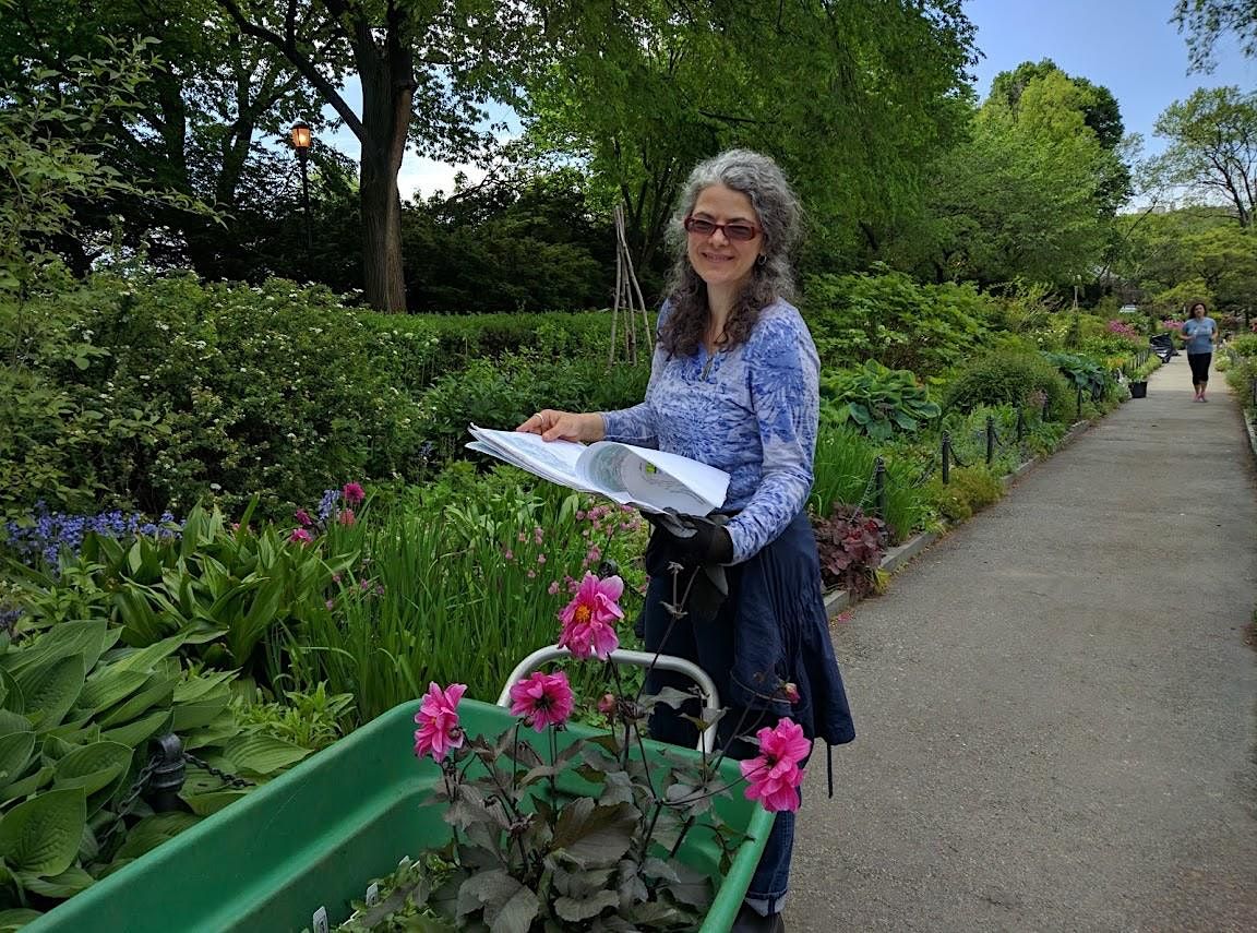 New date: Heather Garden Tour with Public Garden Designer Ronda M ...