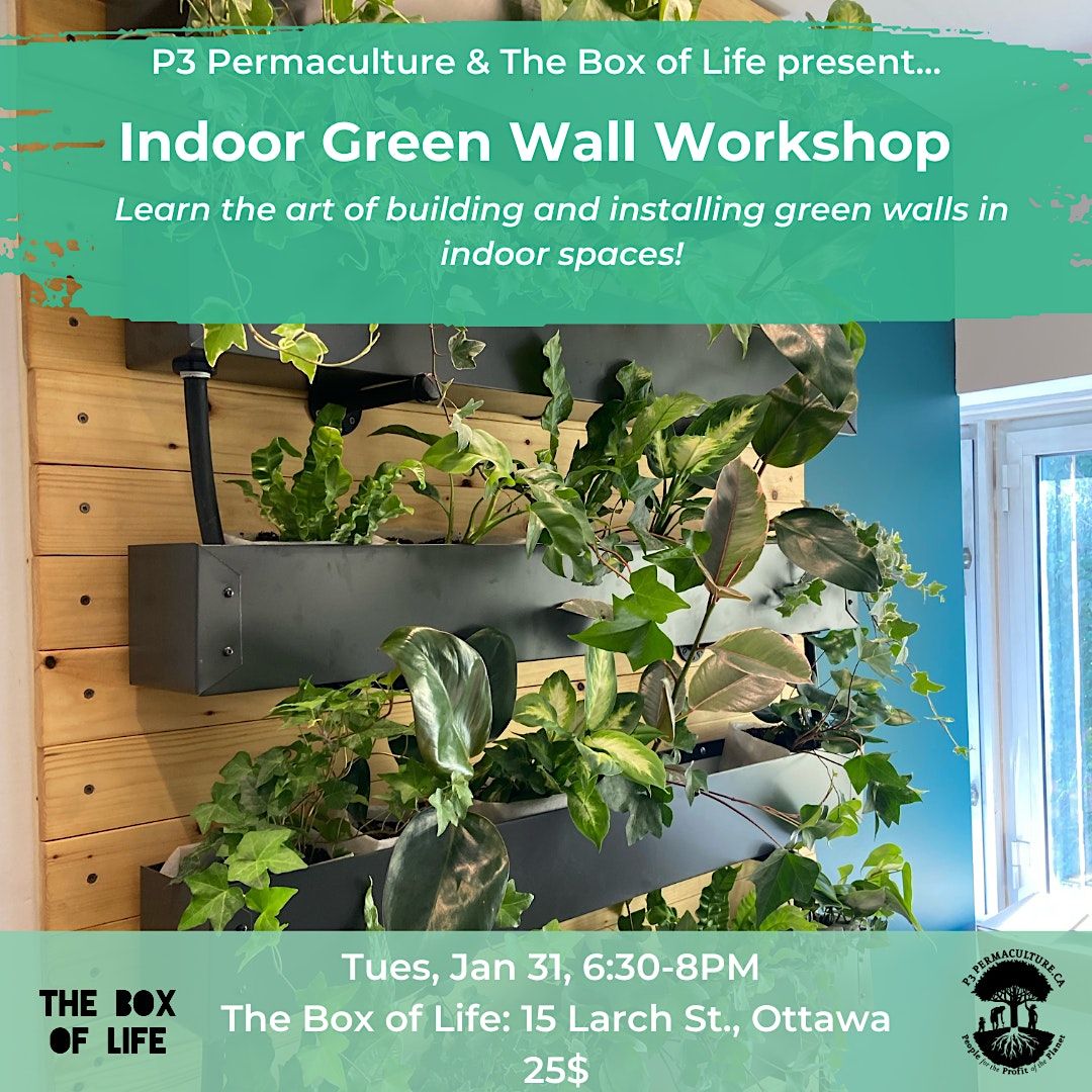 Introduction to Indoor Green Walls, The Box Of Life, Ottawa, 31 January ...