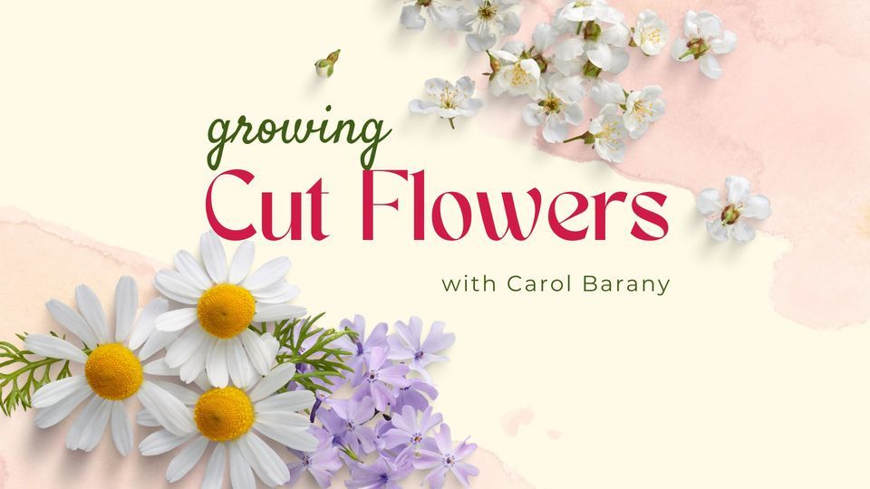 Growing Cut Flowers with Carol Barany, 1401 Arboretum Dr, Yakima, WA ...
