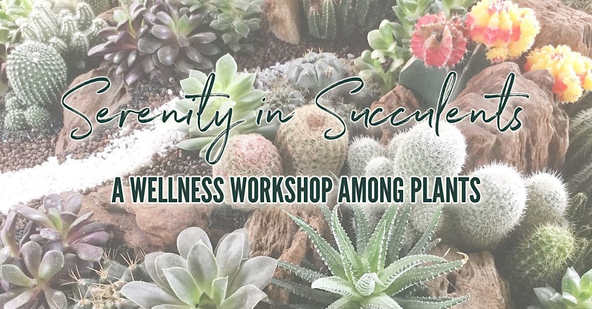 Serenity in Succulents: A Workshop Among Plants, Nico’s on First Avenue ...