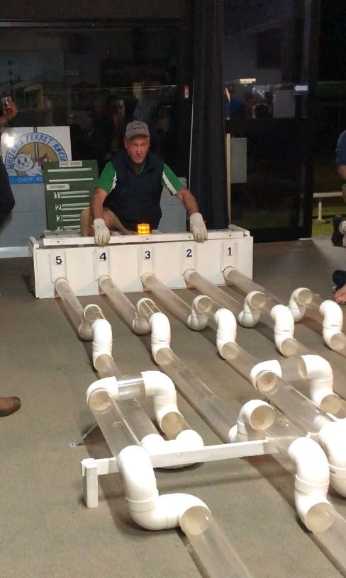 2023 Taralga Fun Ferret Races, Taralga Sports Club, Kangaroo Valley, 14 ...