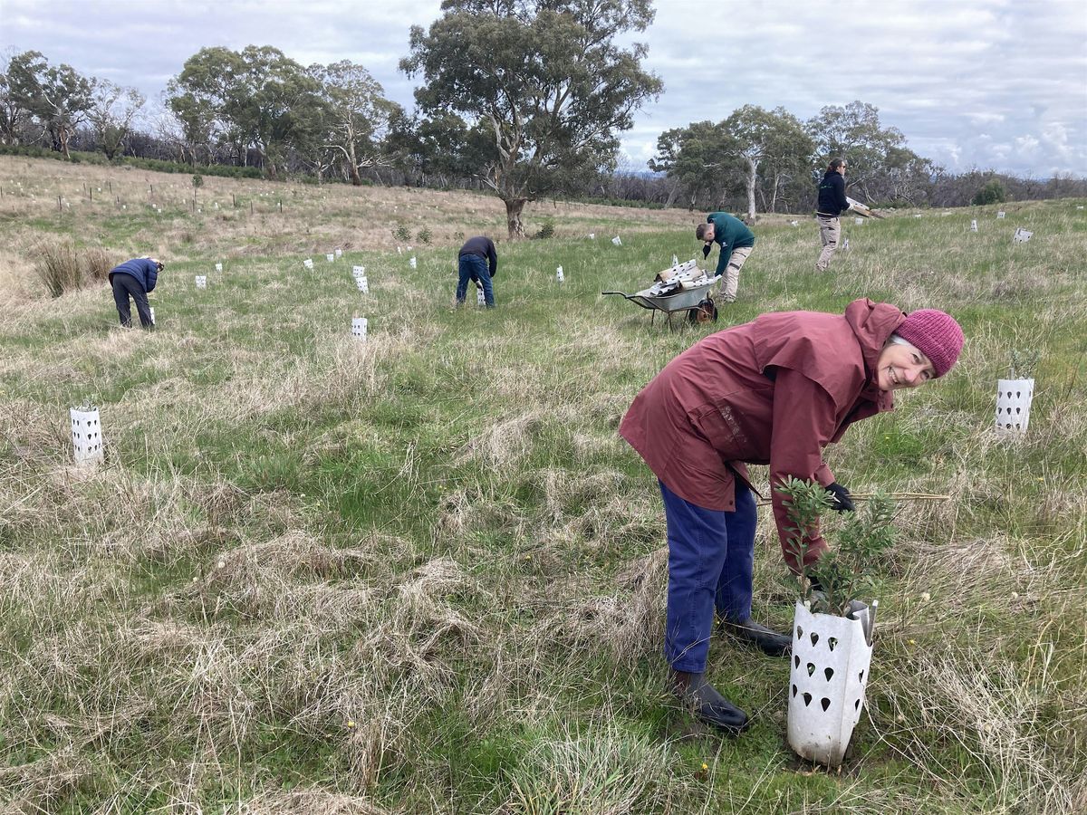 Revegetation - Planning for Success! - Strathalbyn 26th May 2024 ...