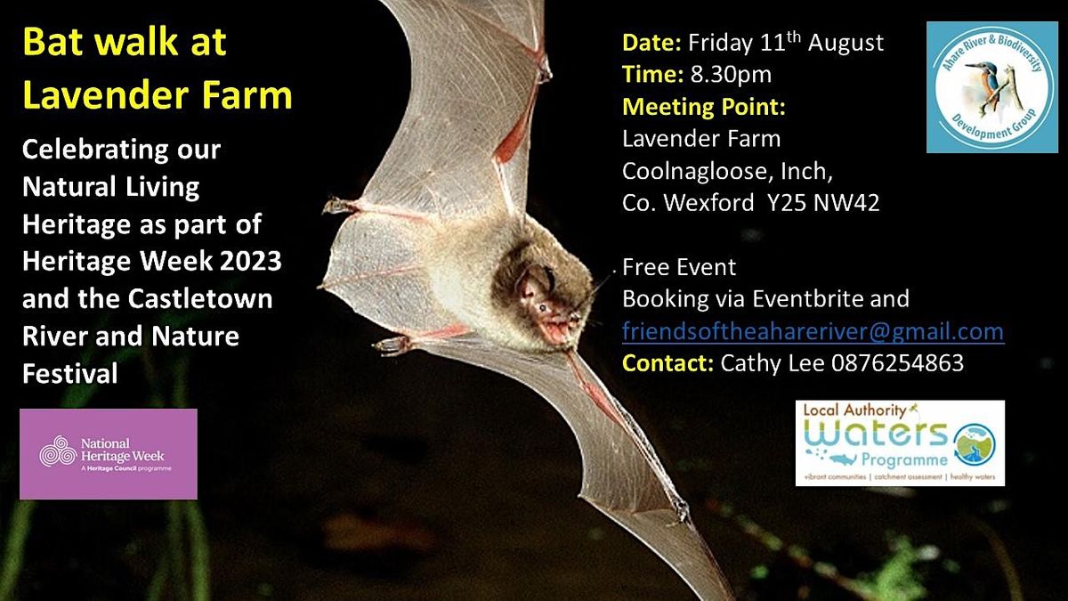 Bat Walk - Castletown River and Nature Festival for National Heritage ...
