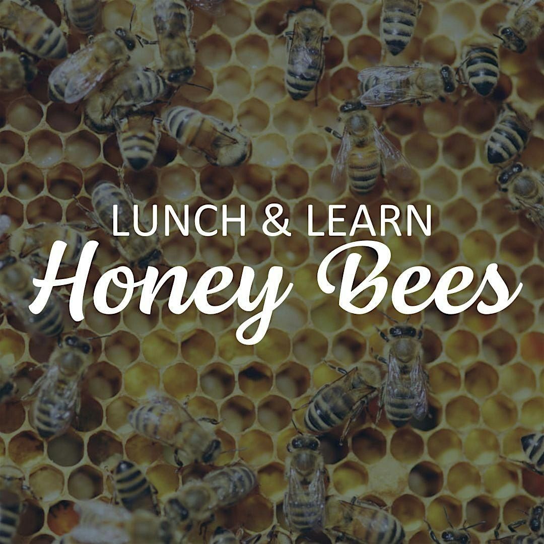 Lunch & Learn: Honey bees, Convivium Urban Farmstead, Dubuque, 21 ...
