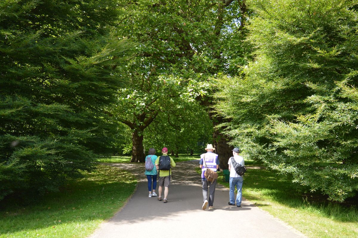 Bute Park Guided Walk / Taith dywys o gwmpas Parc Bute, Pettigrew Tea ...