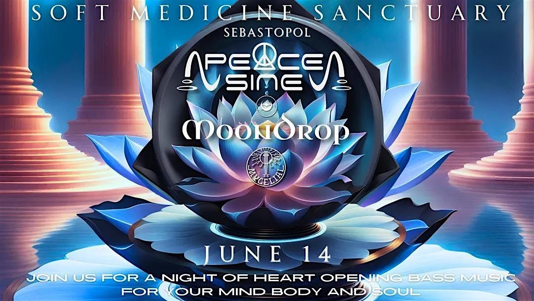 Open-Heart Bass and Beats w/ Peace Sine, Moondrop + Mycelial, Soft ...