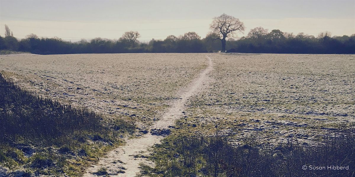 Tolworth Court Farm Fields / Moated Manor Rewilding Day, Goals Tolworth ...