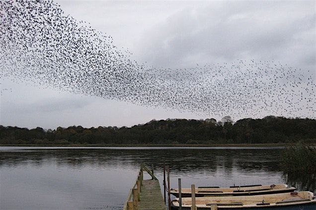 Aqualate Mere Winter Ramble, Aqualate Mere, Newport, 23 November 2024 ...