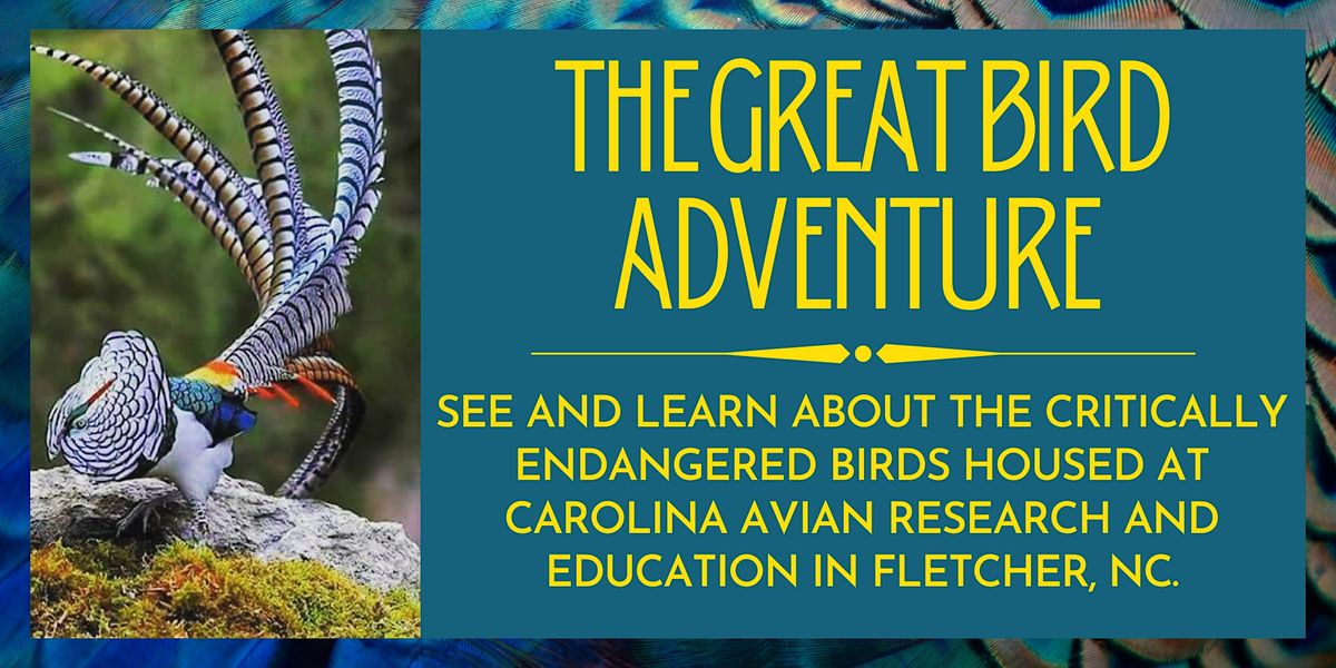 The Great Bird Adventure, Carolina Avian Research and Education ...