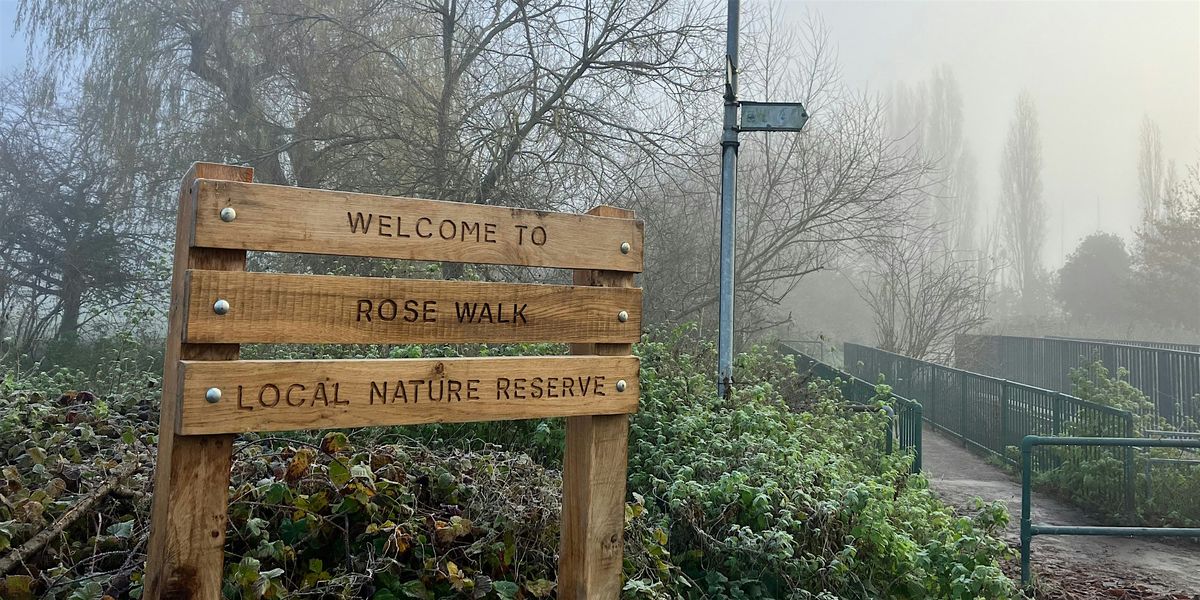 Rose Walk Rewilding Day, Rose Walk Nature Reserve, Surbiton, 12 June ...