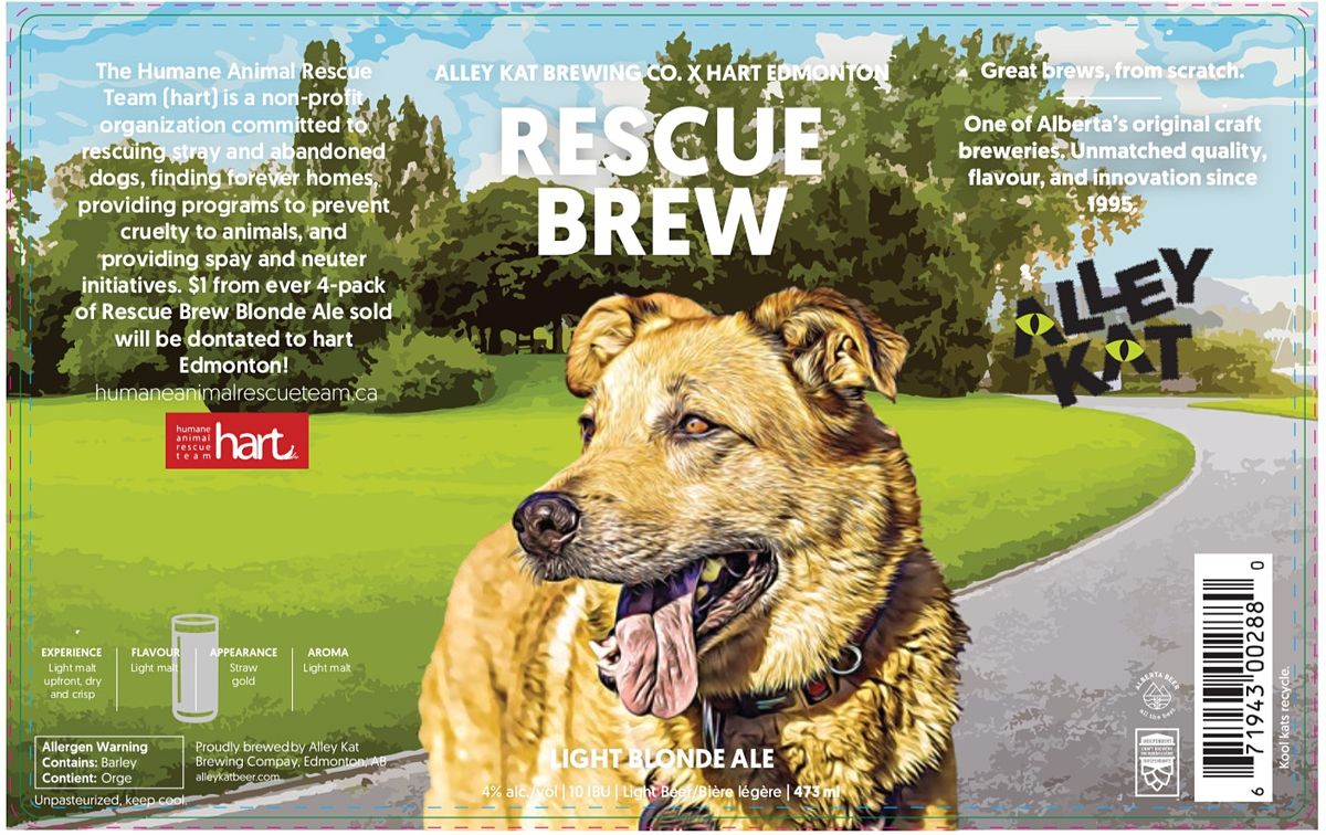 Alley Kat x hart Beer Release at Wine and Beyond Windermere, Wine and ...