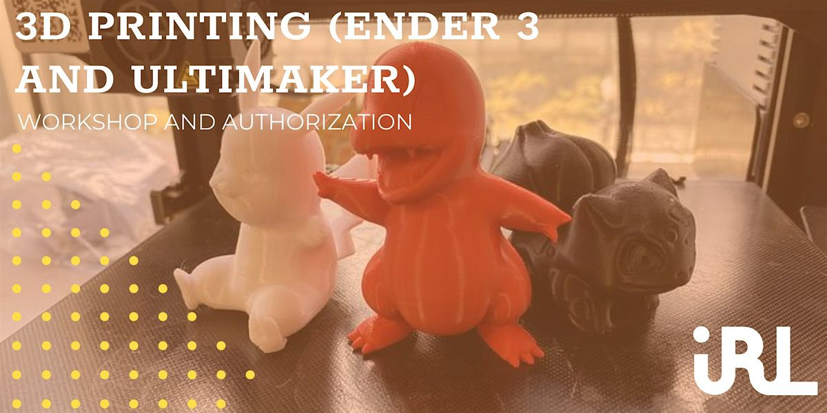 3D Printing Authorization Workshop @ IRL1, Idea Realization Lab at ...
