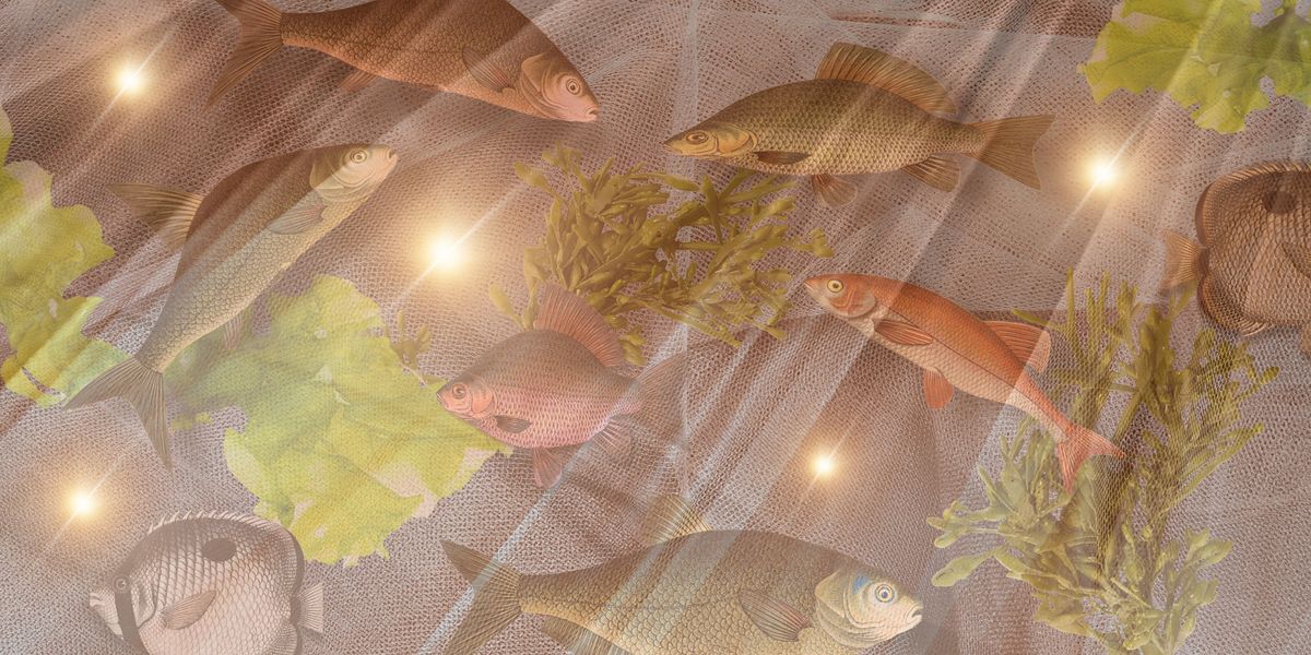 Aqualumina Workshop: Fish Tank Skirts, ArtYard, Frenchtown, 23 March ...