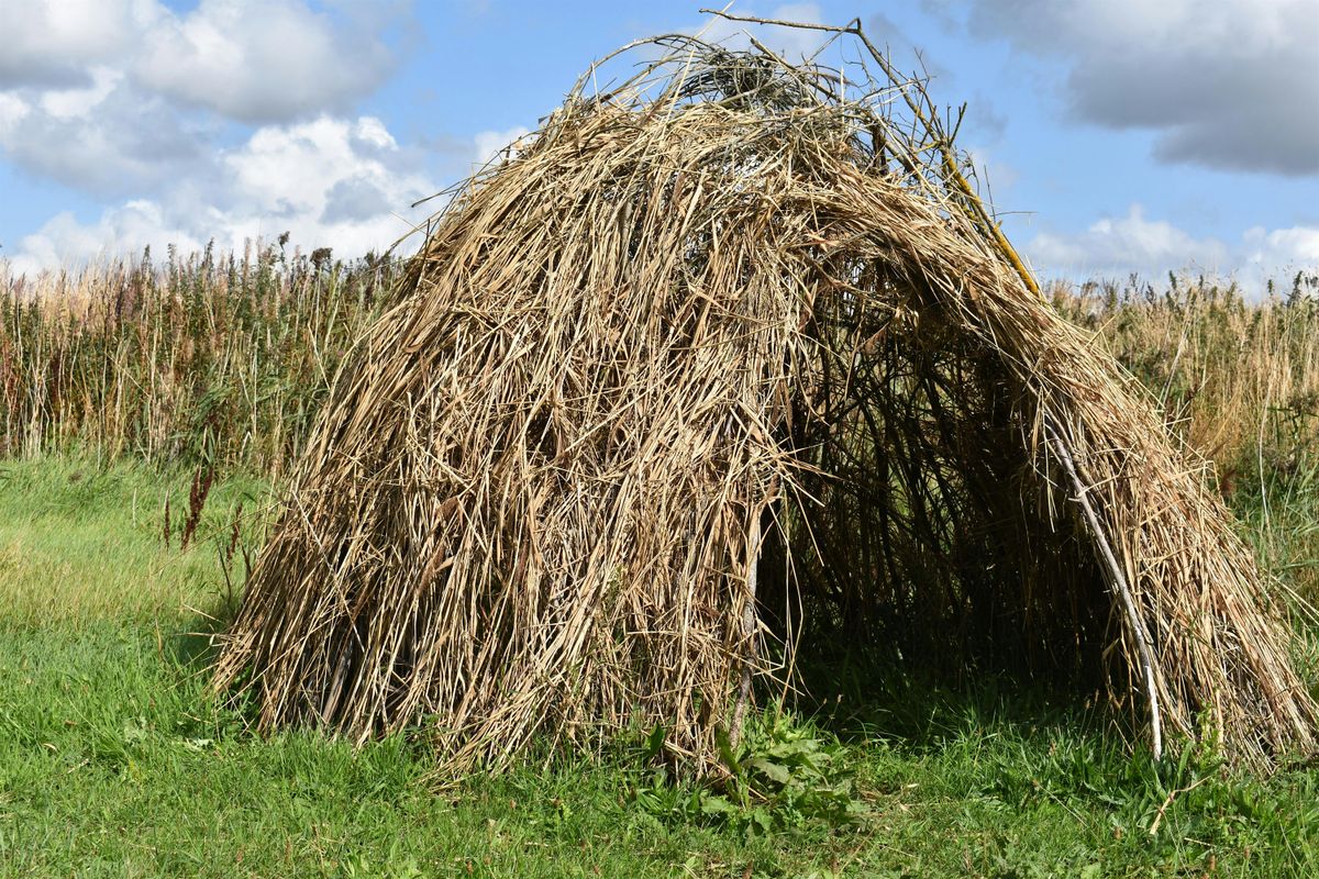 Mesolithic Housebuilding, Lunt Meadows, Liverpool, 9 August 2024 ...