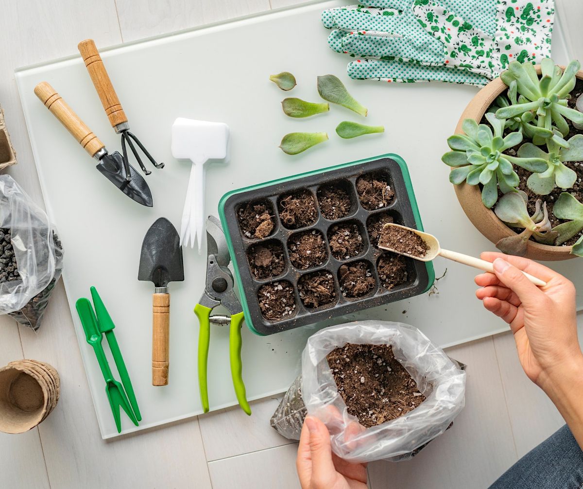 Free Plant and Seed Swap at the Chandler Sunset Library, Chandler ...