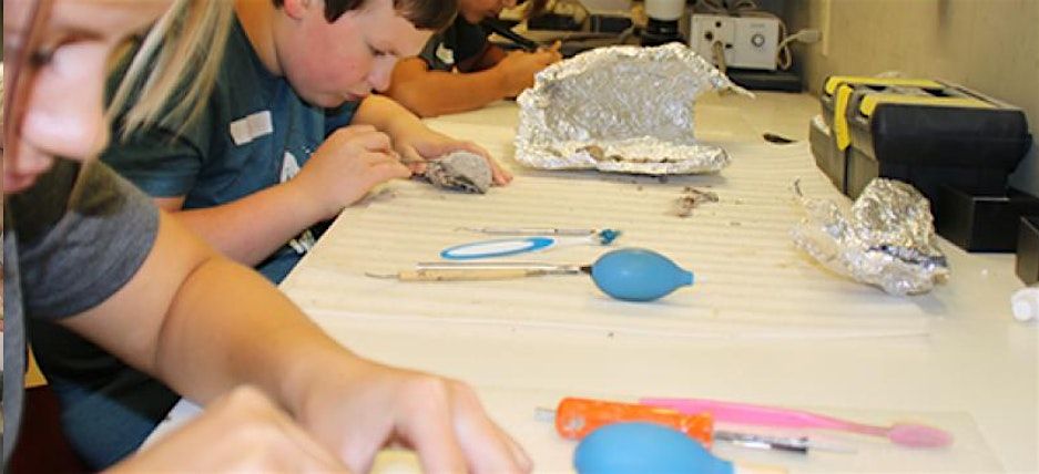 Burpee Museums 2024 Summer Day Camp: Earth Explorers, July 15-19 ...