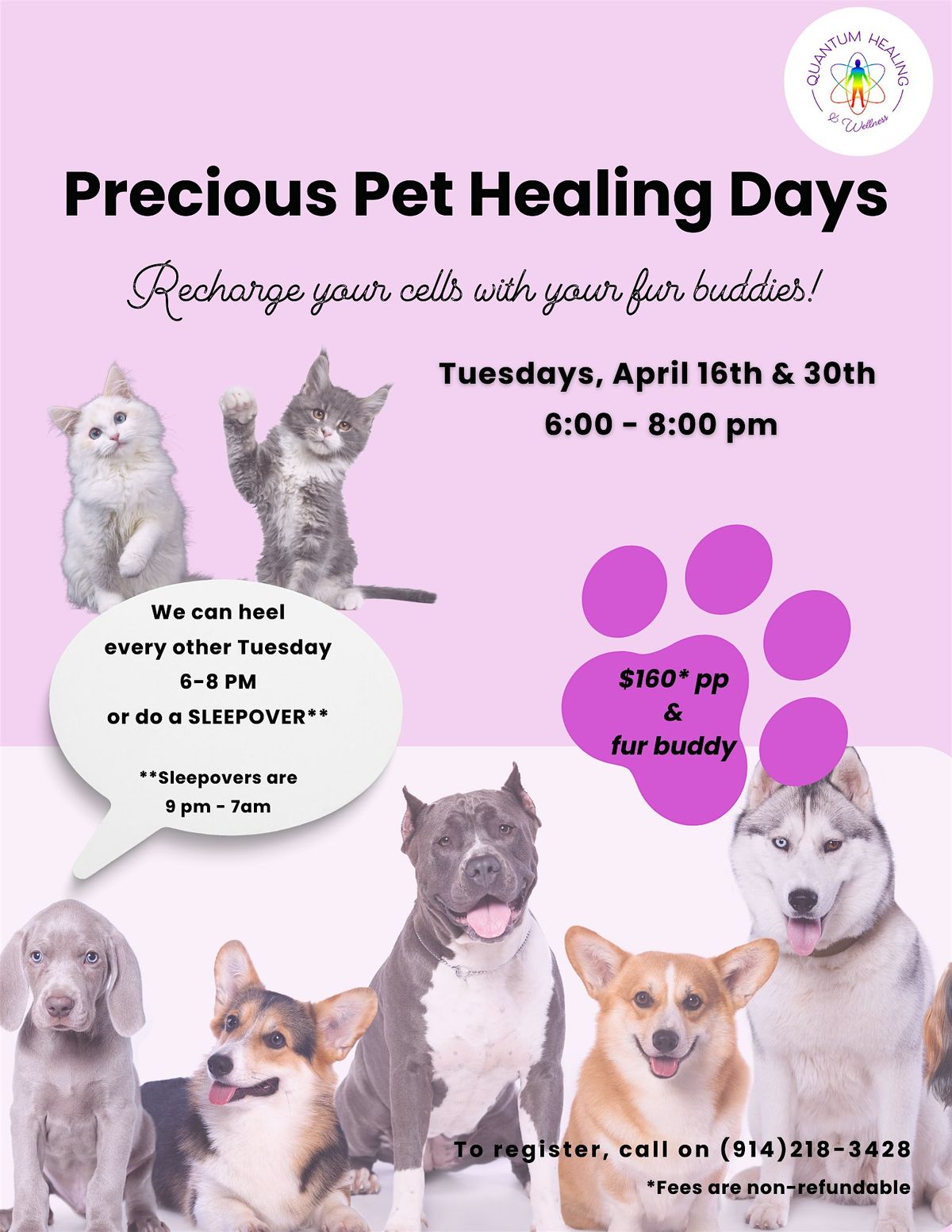 Precious Pet Healing in the Energy Enhancement System, Quantum Healing ...