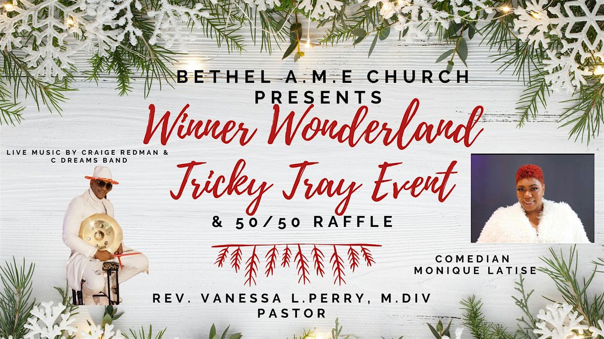 Winner Wonderland Tricky Tray Event, Madison Community House, 7 ...