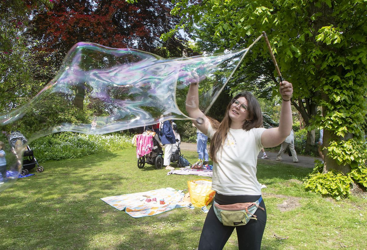 Big Wild Weekend 2023 - Family walk at Wyming Brook, Wyming Brook ...
