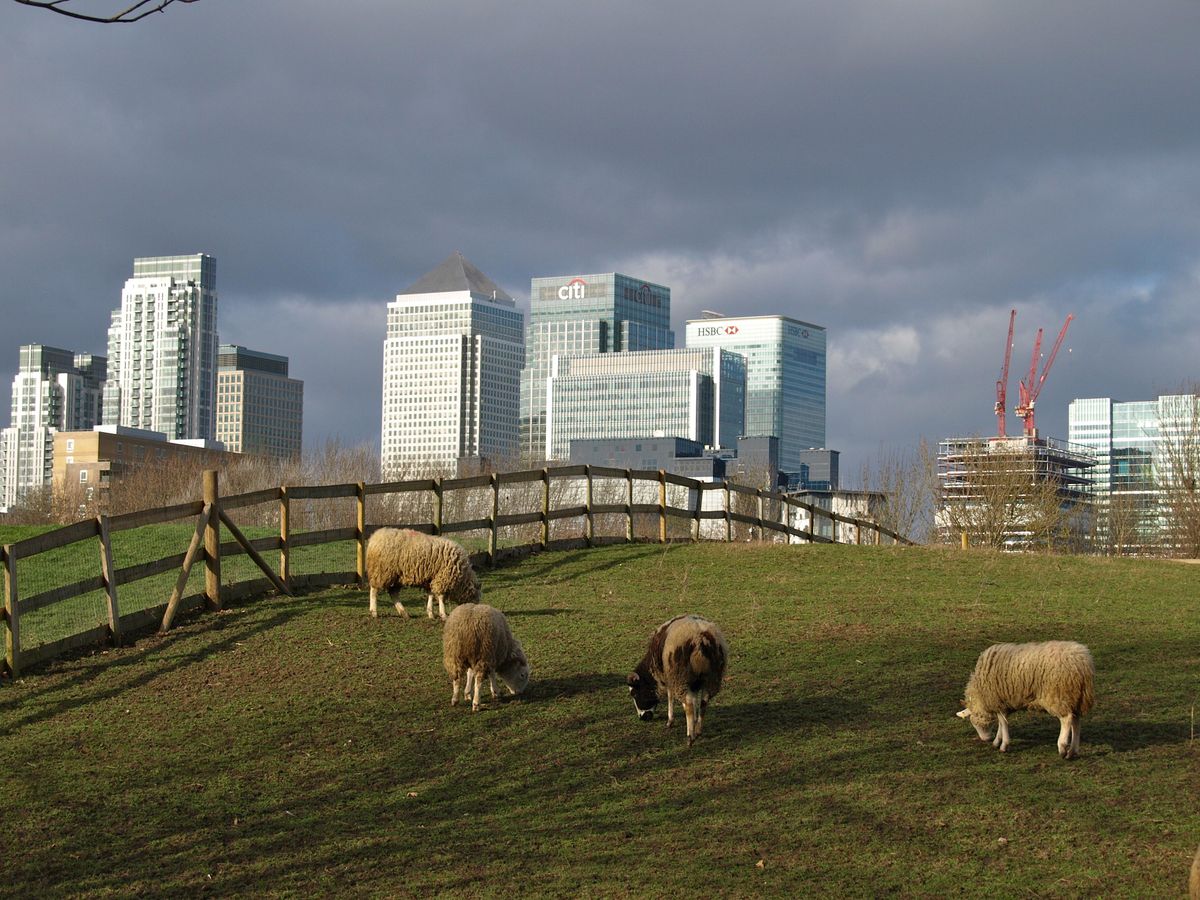 A Rubbish Trip: Isle of Dogs and Greenwich guided walk, 14th September ...