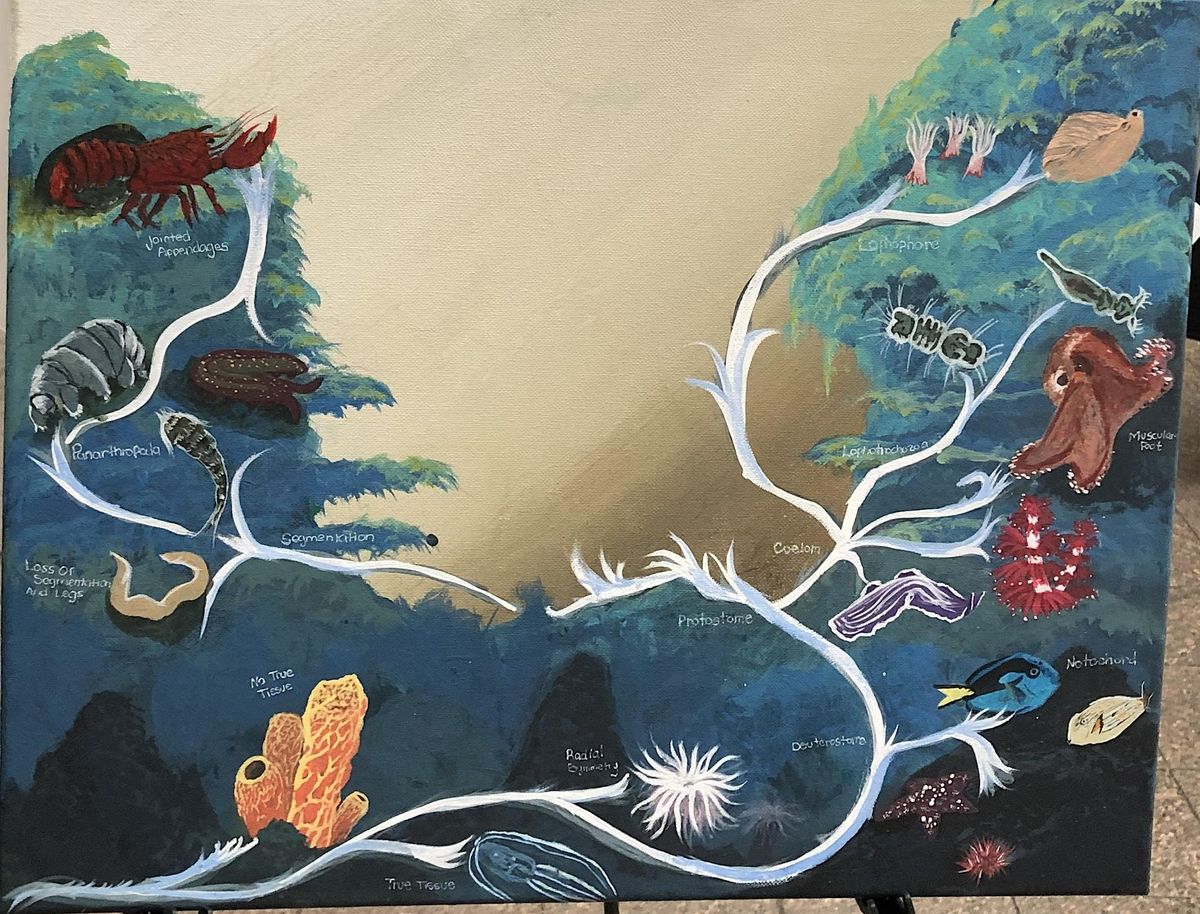 Biology Through Art, Bonita Museum & Cultural Center, 24 June | AllEvents