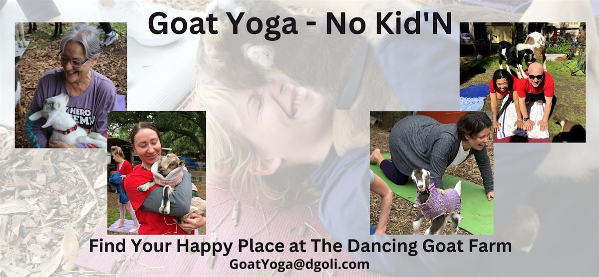 Goat Yoga with Dr.Tanya Gold, The Dancing Goat, Tampa, 14 April 2024 ...