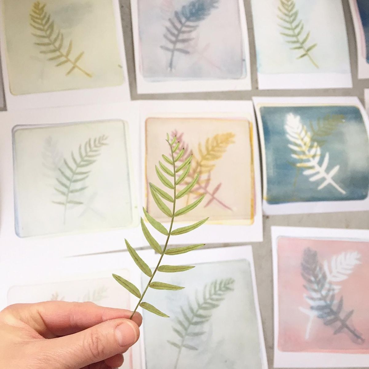 Botanical and Textural mono-printing, Kathy Hutton Prints, Chippenham ...