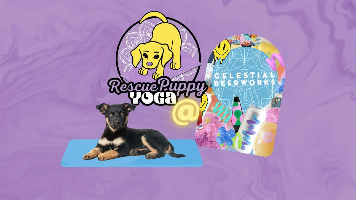 Rescue Puppy Yoga @ Celestial Beerworks The Satellite, 2530 Butler St ...