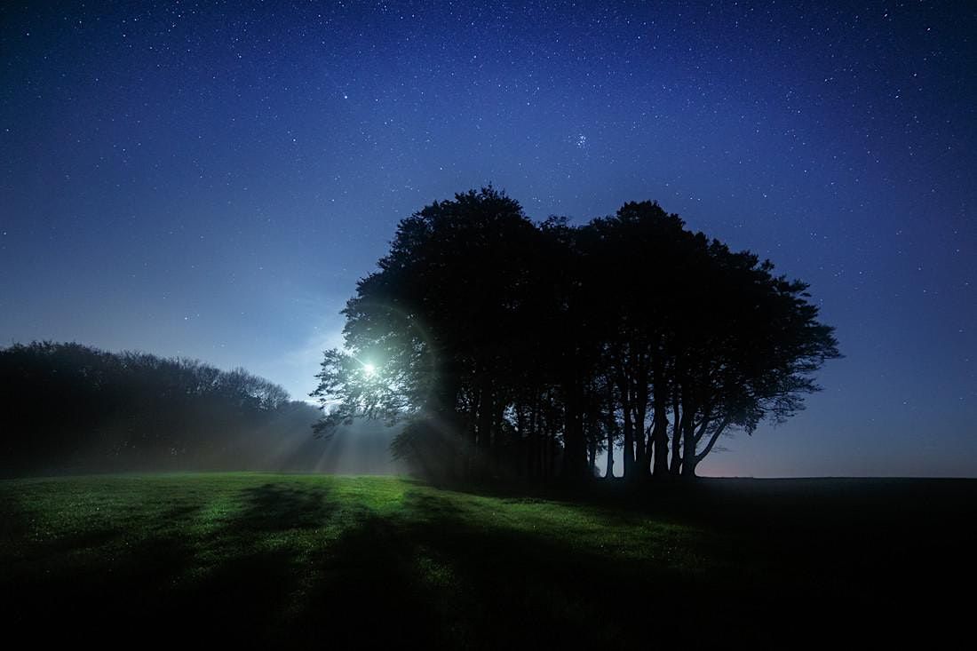 Reclaim The Night, Older Hill, Woolbeding, 8 March 2024 | AllEvents.in