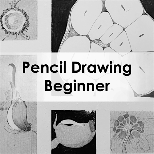 Pencil Drawing for Adults | Beginner, Green Apple Art Center, Vancouver ...