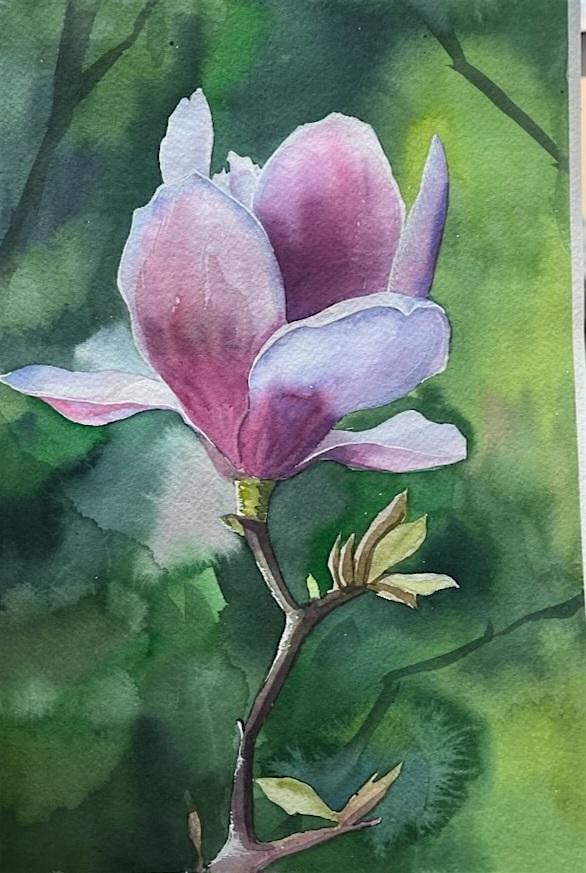 Watercolour Magnolia, Paint ur Art Out gallery, Calgary, 10 August 2024 ...
