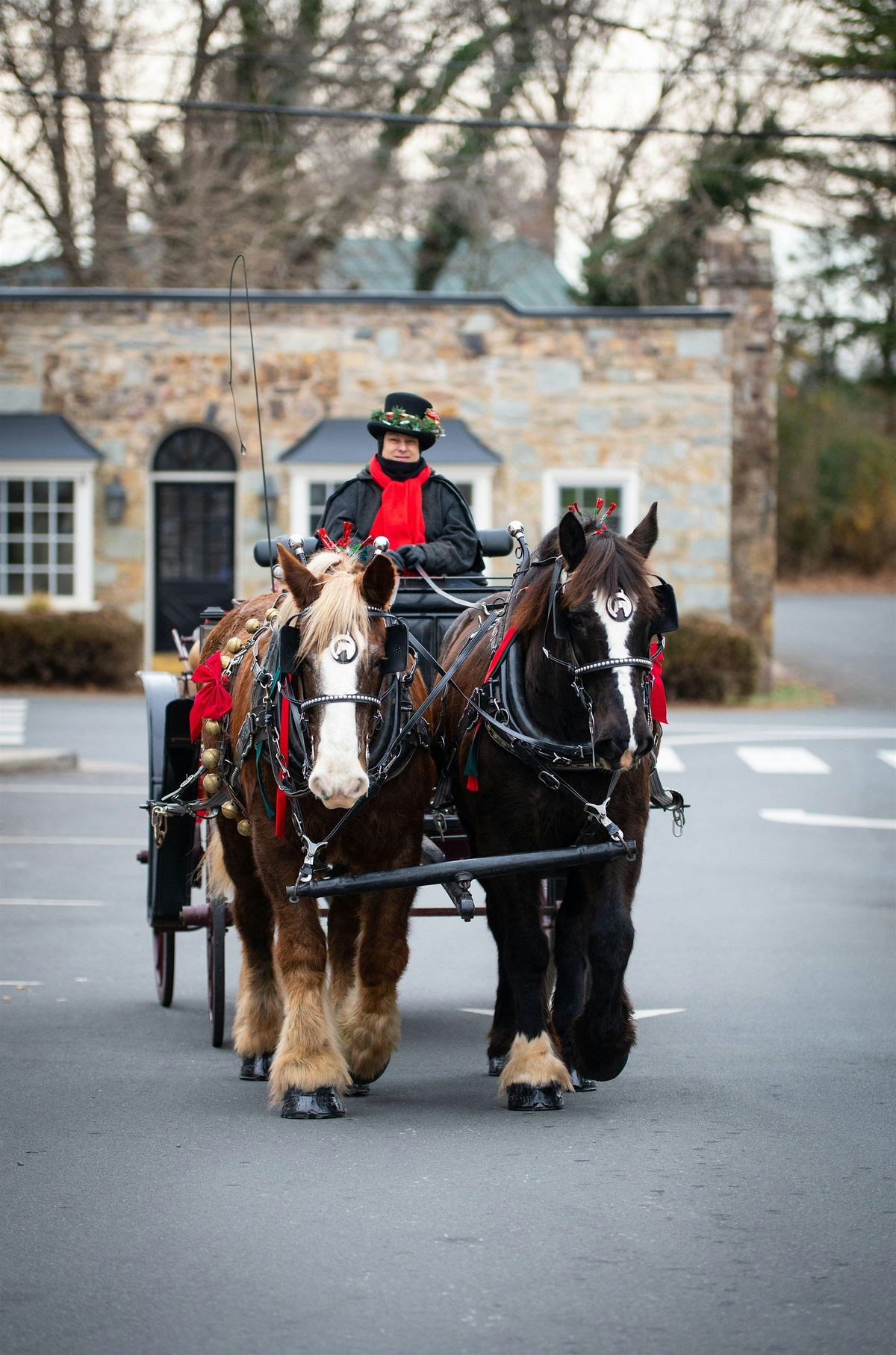 Christmas In Middleburg - Horse Drawn Carriage Rides, The Middleburg ...