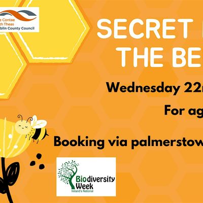 Secret Life of the Beehive - Biodiversity Week, Palmerstown Library ...