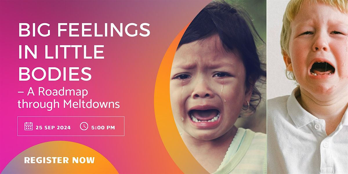 Big Feelings in Little Bodies — A Roadmap through Meltdowns, Verdani ...