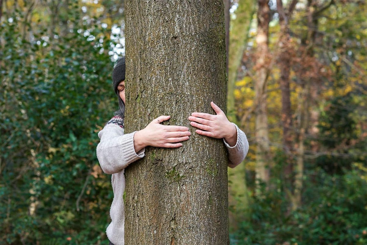 The Glasgow Tree Hugging Tournament 2024, Dams to Darnley Country Park ...