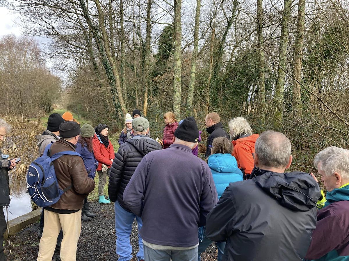 Taith gerdded natur (Welsh wildlife walk), Crymlyn Bog, Bon-y-maen, 25 ...